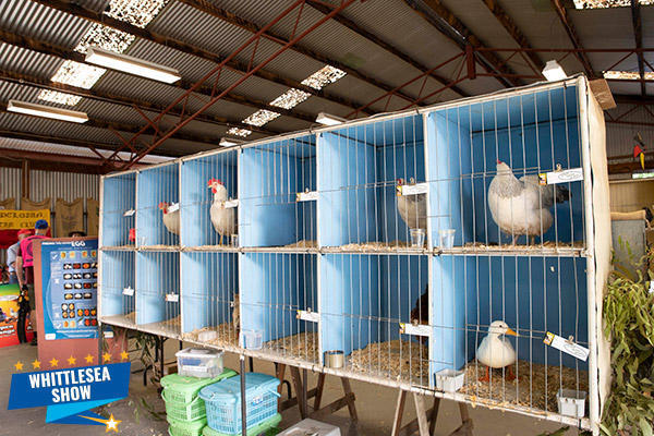 Pavilions – The Whittlesea Agricultural Society – Whittlesea Show
